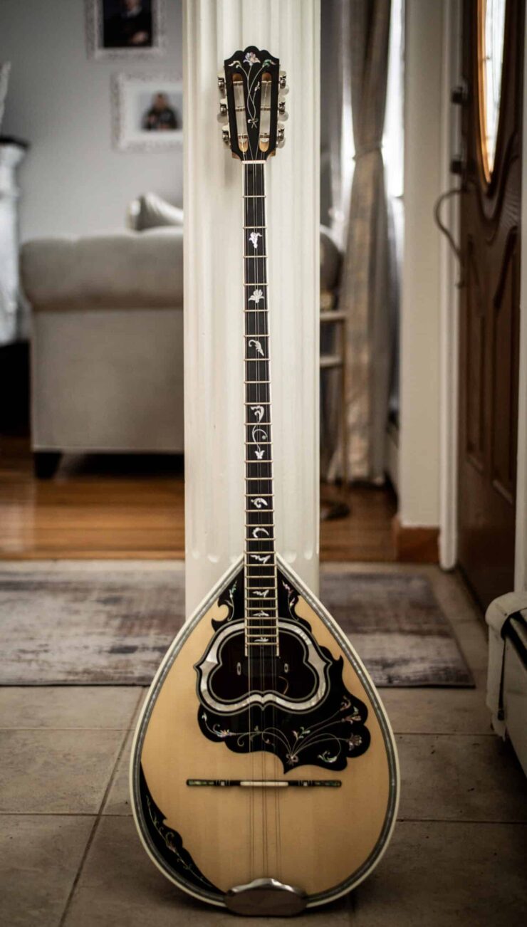Best Bouzouki Lessons In Astoria, Queens | Tommy Kavounidis